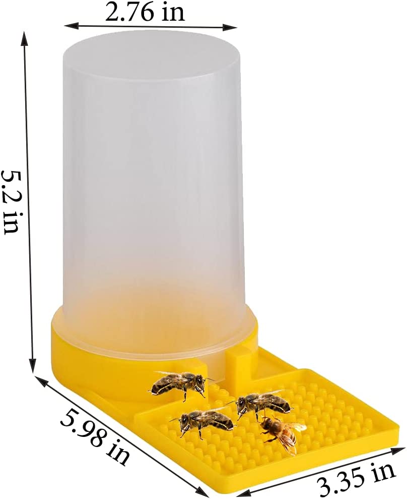 Bebederos para abejas: cómo hacerlos y por qué son importantes