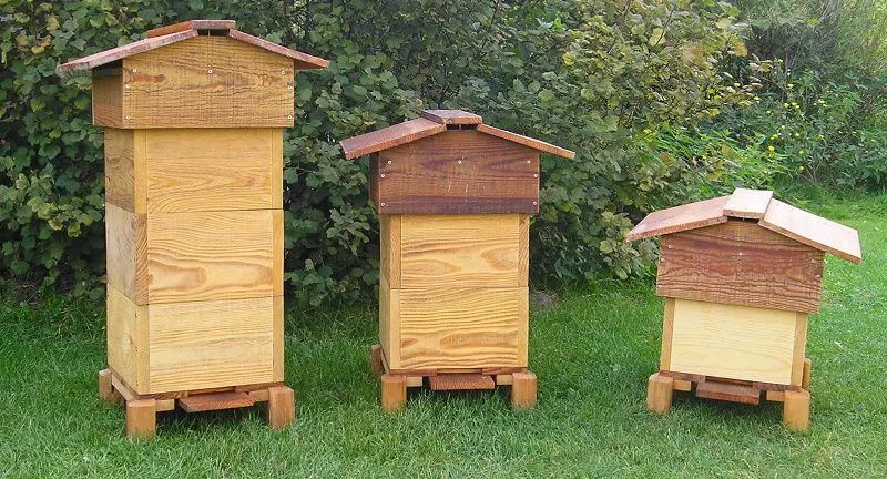 Tipos de Colmenas: Colmenas Langstroth, Warre y Top Bar